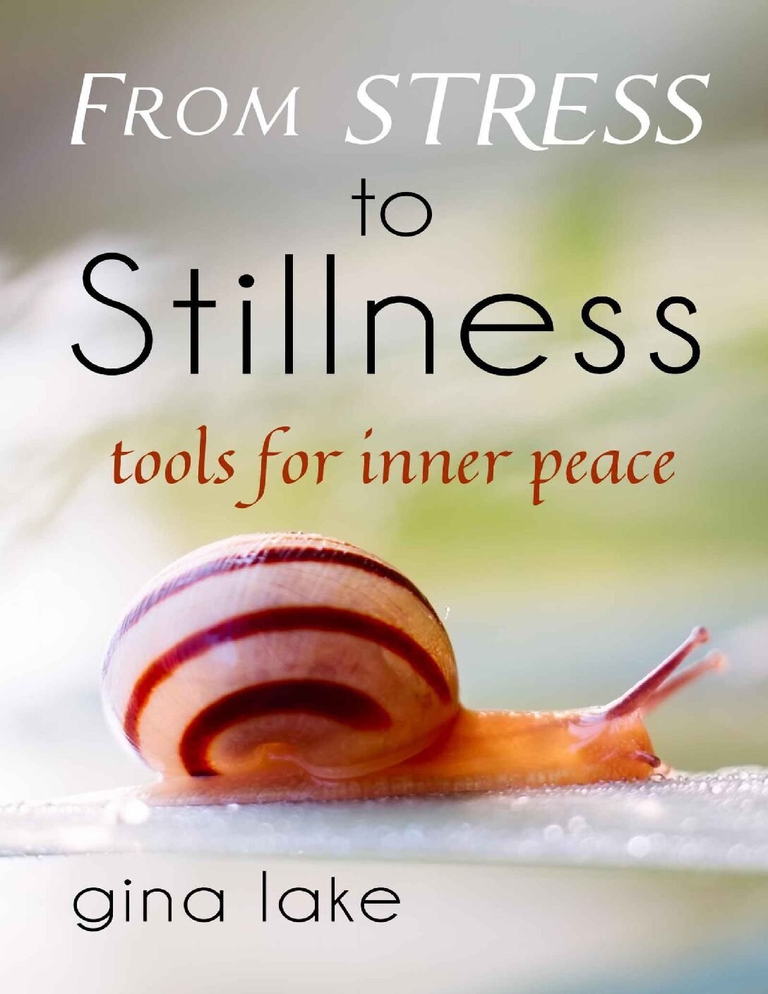 From Stress to Stillness Book in pdf – Gina Lake
